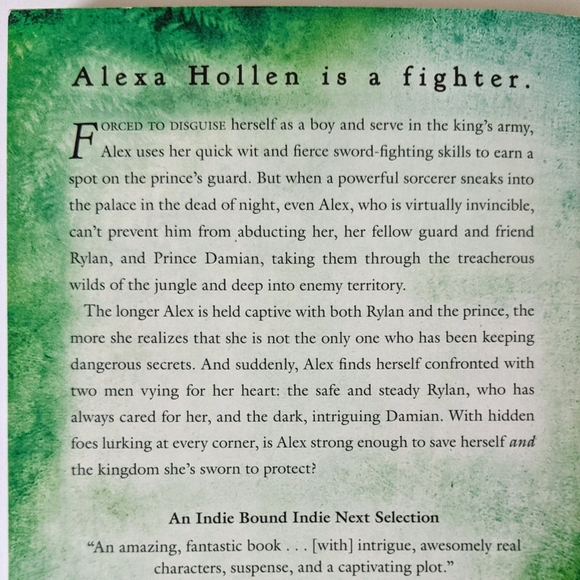 Sara B Larson | Other | Defy Book Series By Sara B Larson | Poshmark